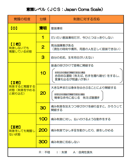 第33回（R7年）柔道整復師国家試験 解説【午後26～30】 | 国試オタク